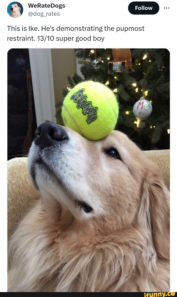 Video memes TKPqsC05B by Sith_Emperor_Sadeus2386: 2 comments - iFunny