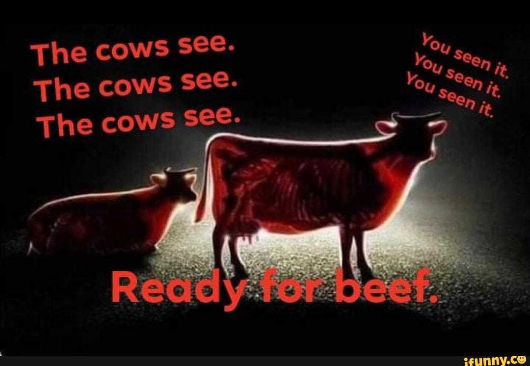 The cows see- The cows see- You it The cows see- - iFunny