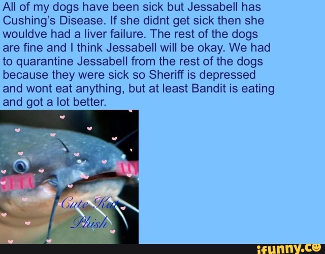 Cushings memes. Best Collection of funny Cushings pictures on iFunny