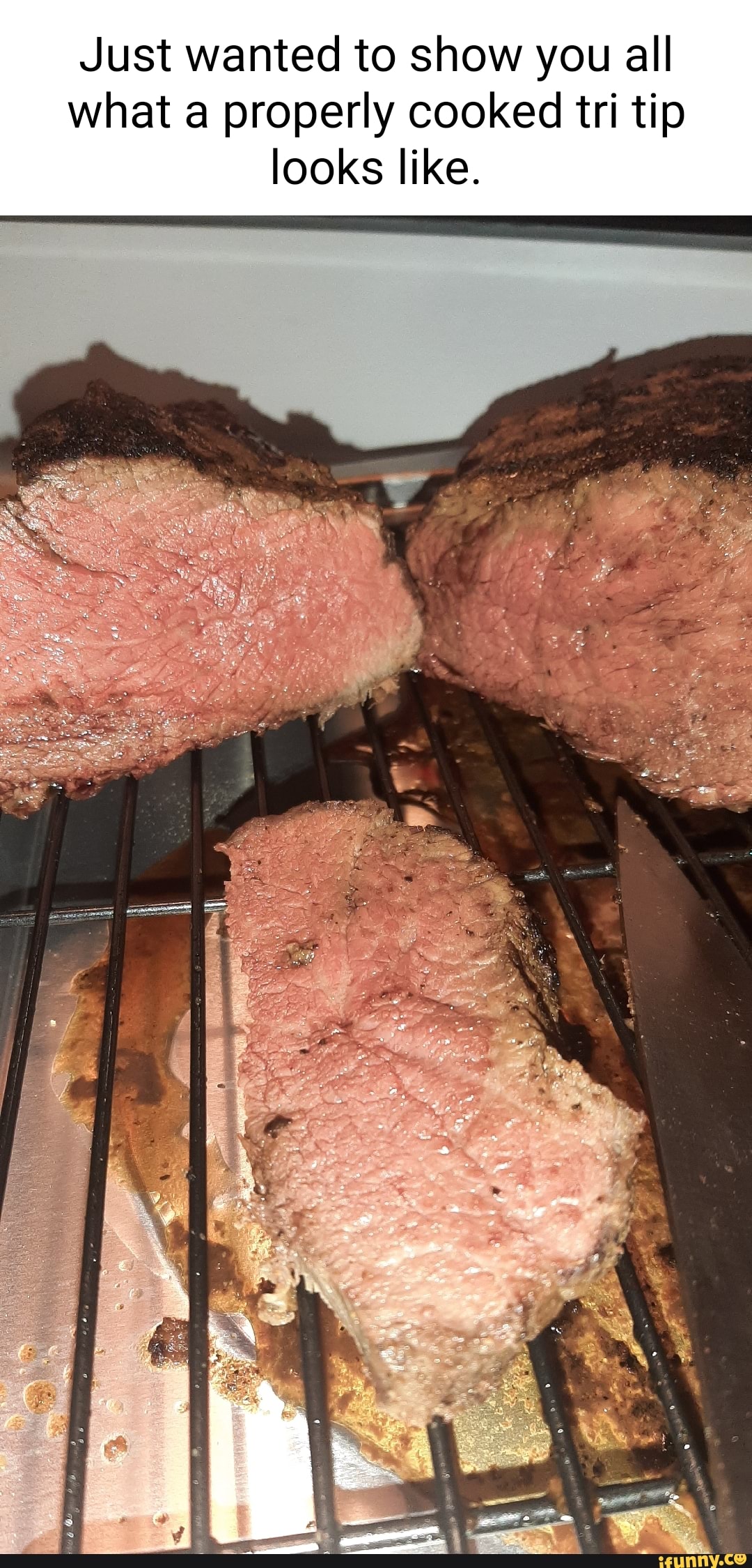 Tritip memes. Best Collection of funny Tritip pictures on iFunny
