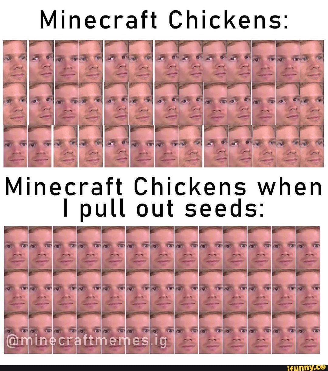 Minecraft Chickens: Minecraft Chickens when I pull out seeds: - iFunny