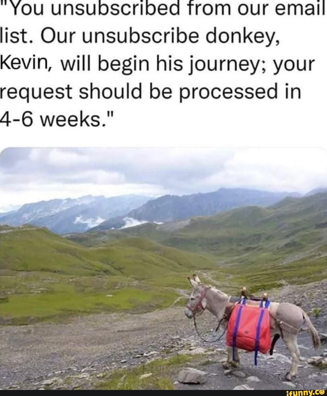 Unsubscribe memes. Best Collection of funny Unsubscribe pictures on iFunny