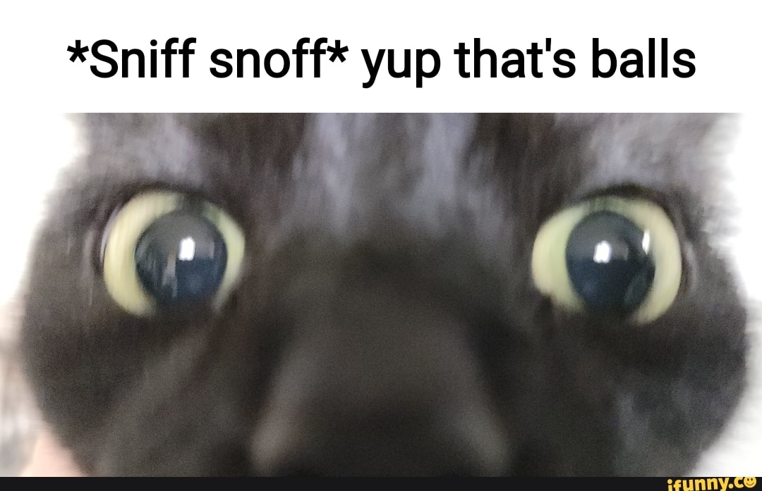 Sniff Snoff Yup Thats Balls Ifunny