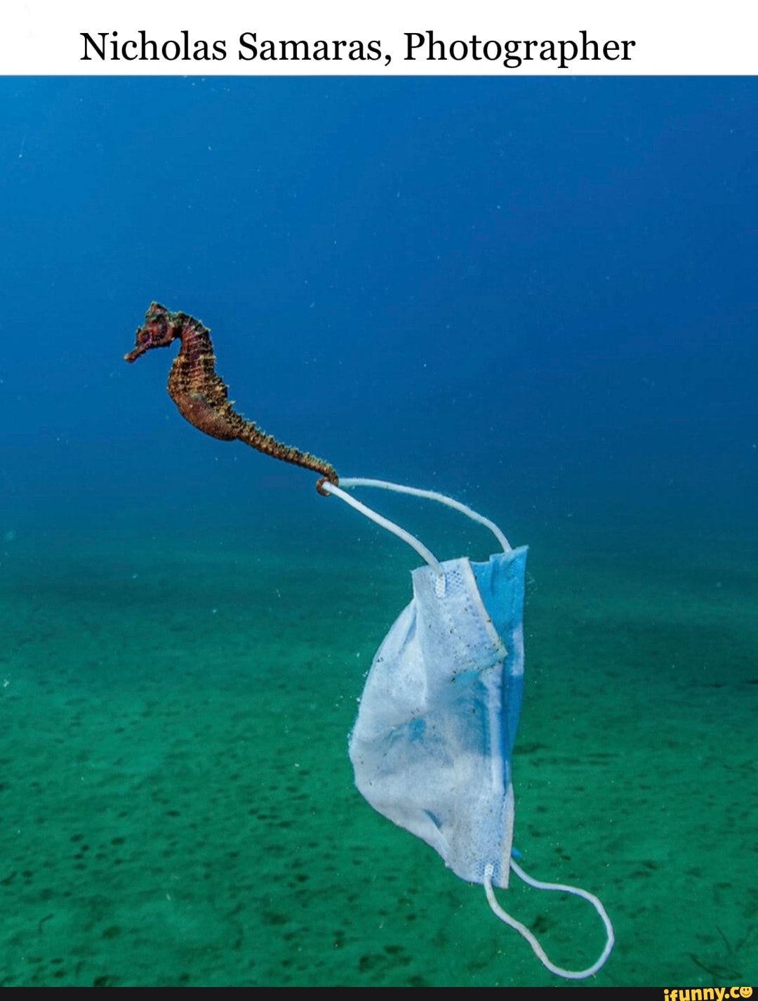 Samaras memes. Best Collection of funny Samaras pictures on iFunny