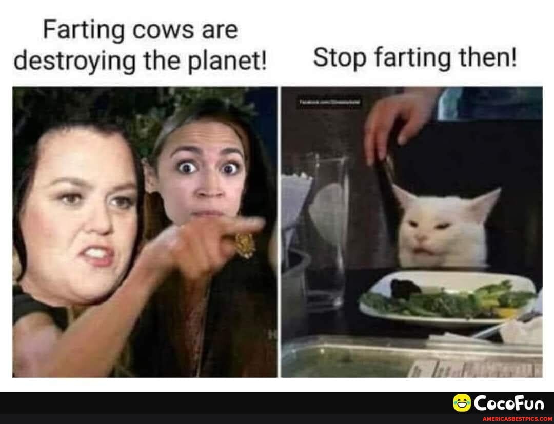 Farting cows are destroying the planet! Stop farting then! CeceFun ...