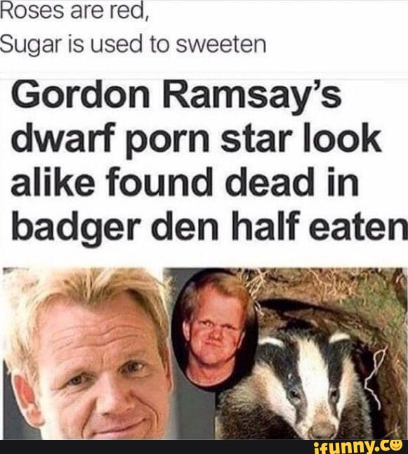 ROSES are red, Sugar is used to sweeten Gordon Ramsay's dwarf porn star ...