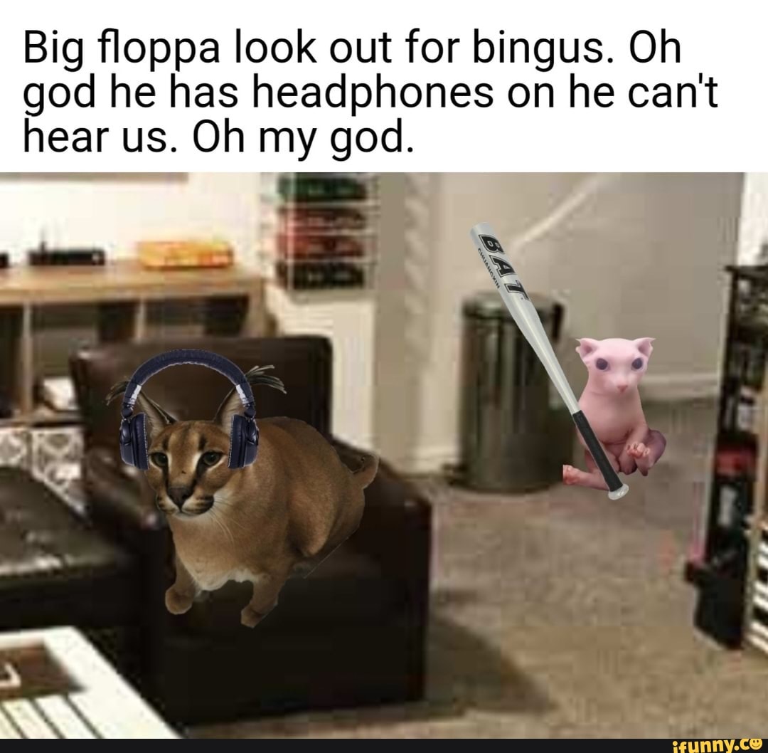 Big floppa look out for bingus. Oh god he has headphones on he can't ...