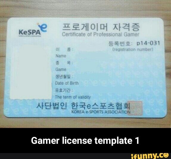 Gamer license template 1 - Gamer license template 1 - iFunny