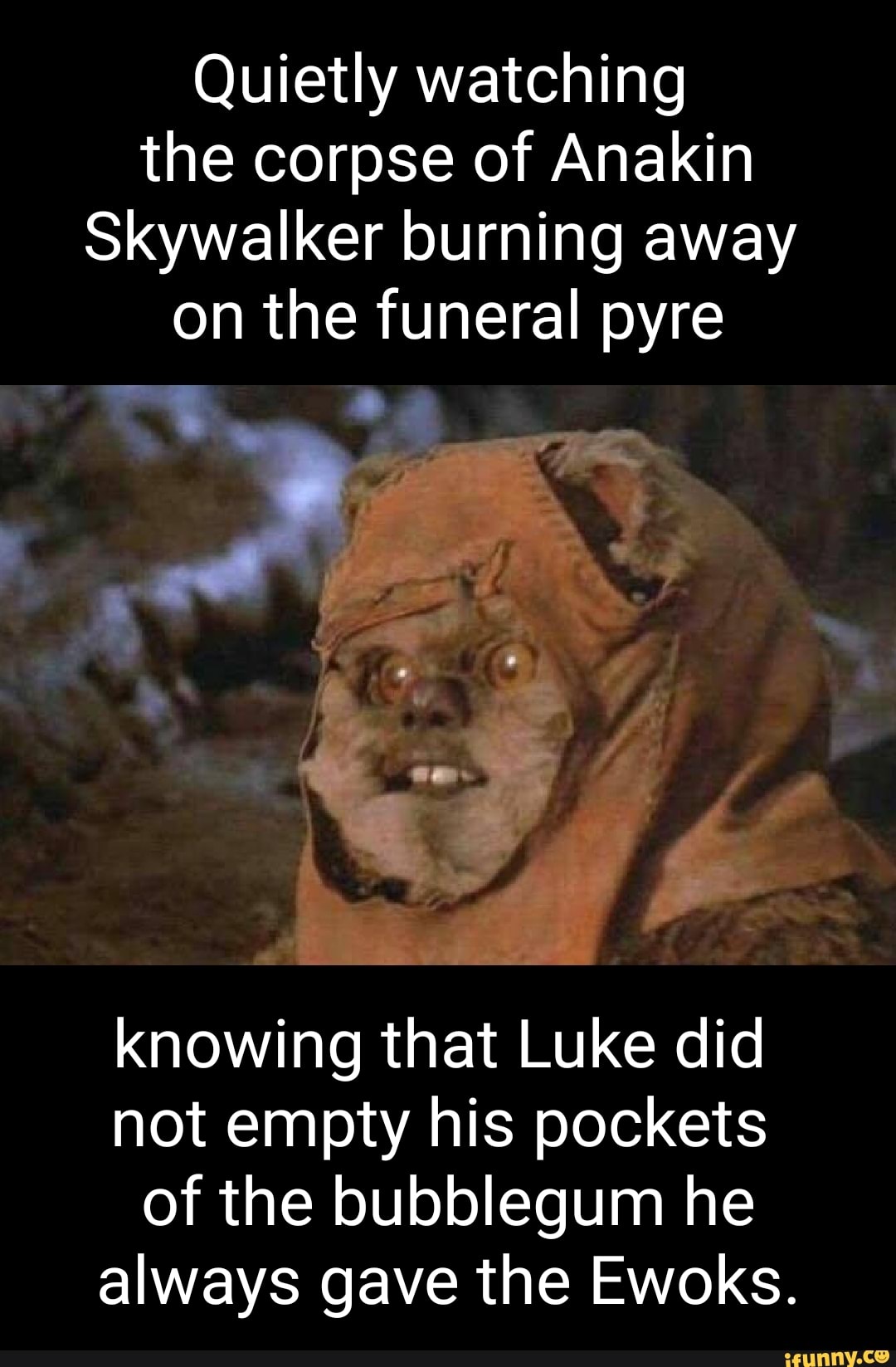 Quietly watching the corpse of Anakin Skywalker burning away on the ...