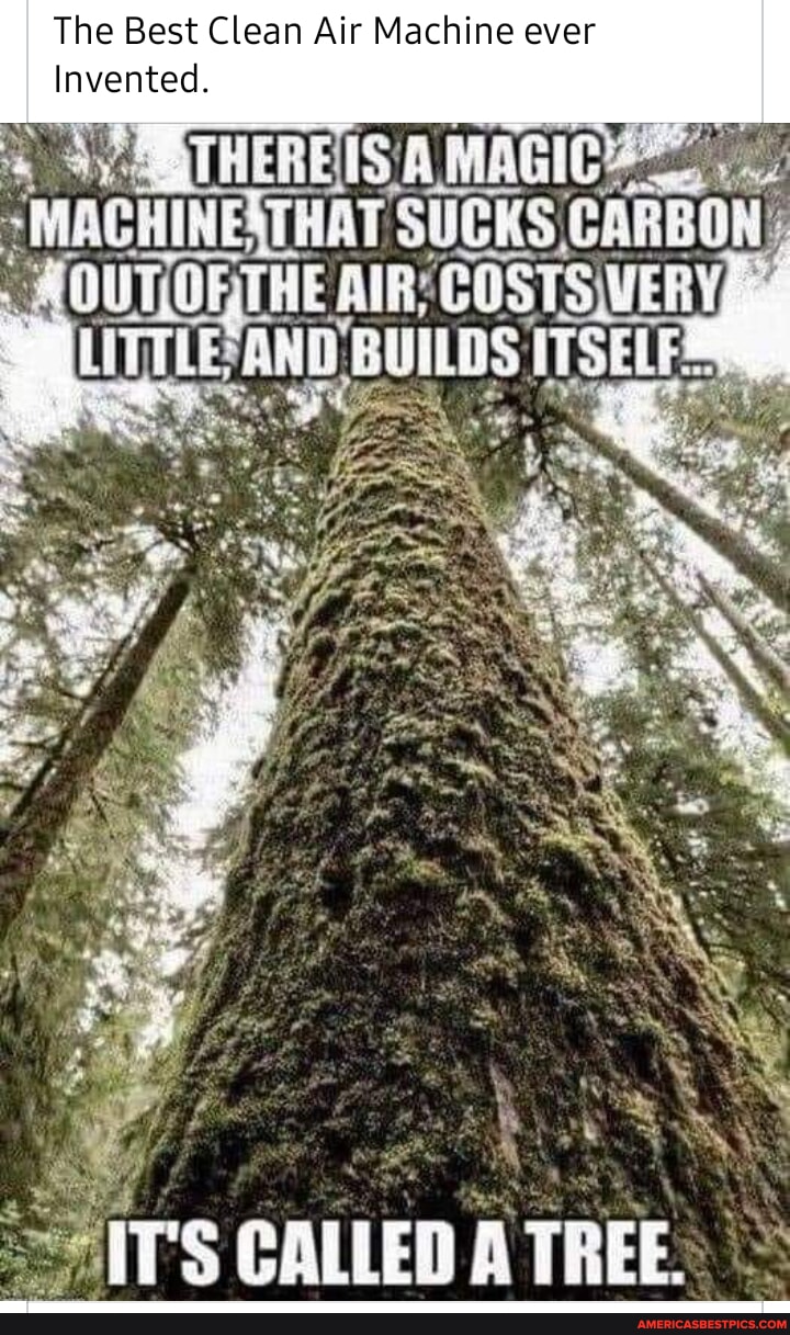 The Best Clean Air Machine ever Invented. IT'S CALLED TREE. - America’s ...