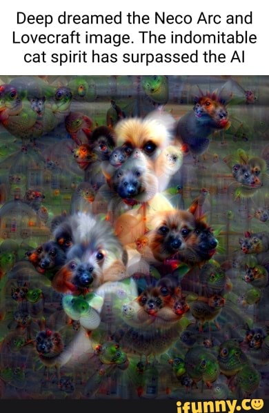 Indomitable memes. Best Collection of funny Indomitable pictures on iFunny