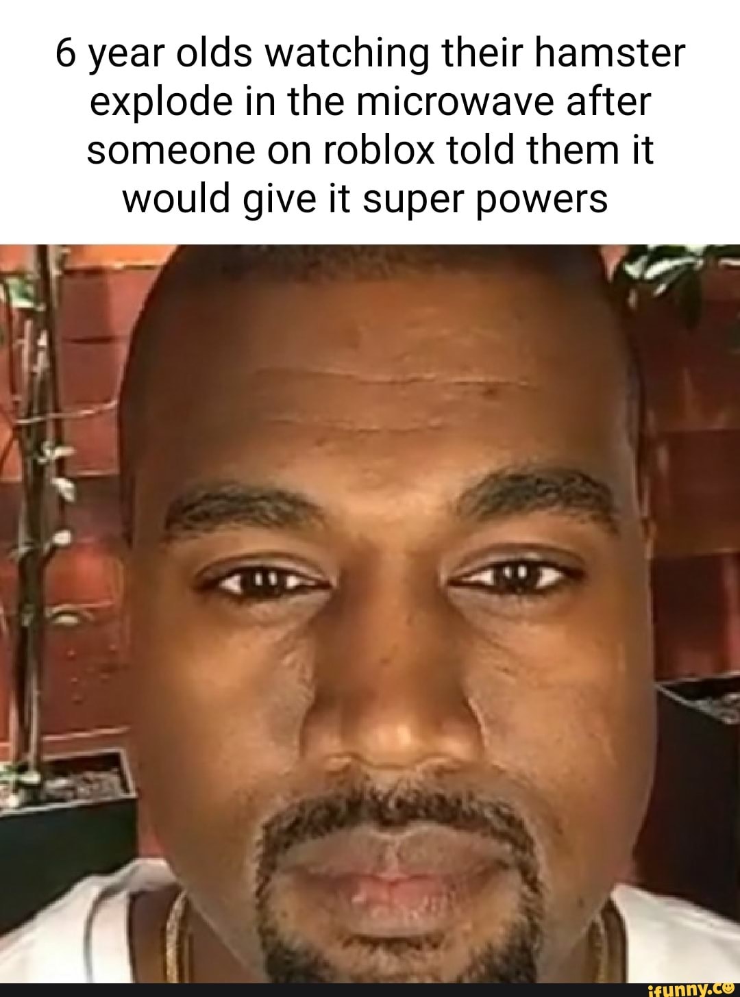 6 year olds watching their hamster explode in the microwave after ...