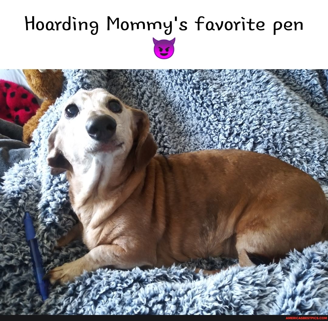 Hoarding Mommy's favorite pen - America’s best pics and videos