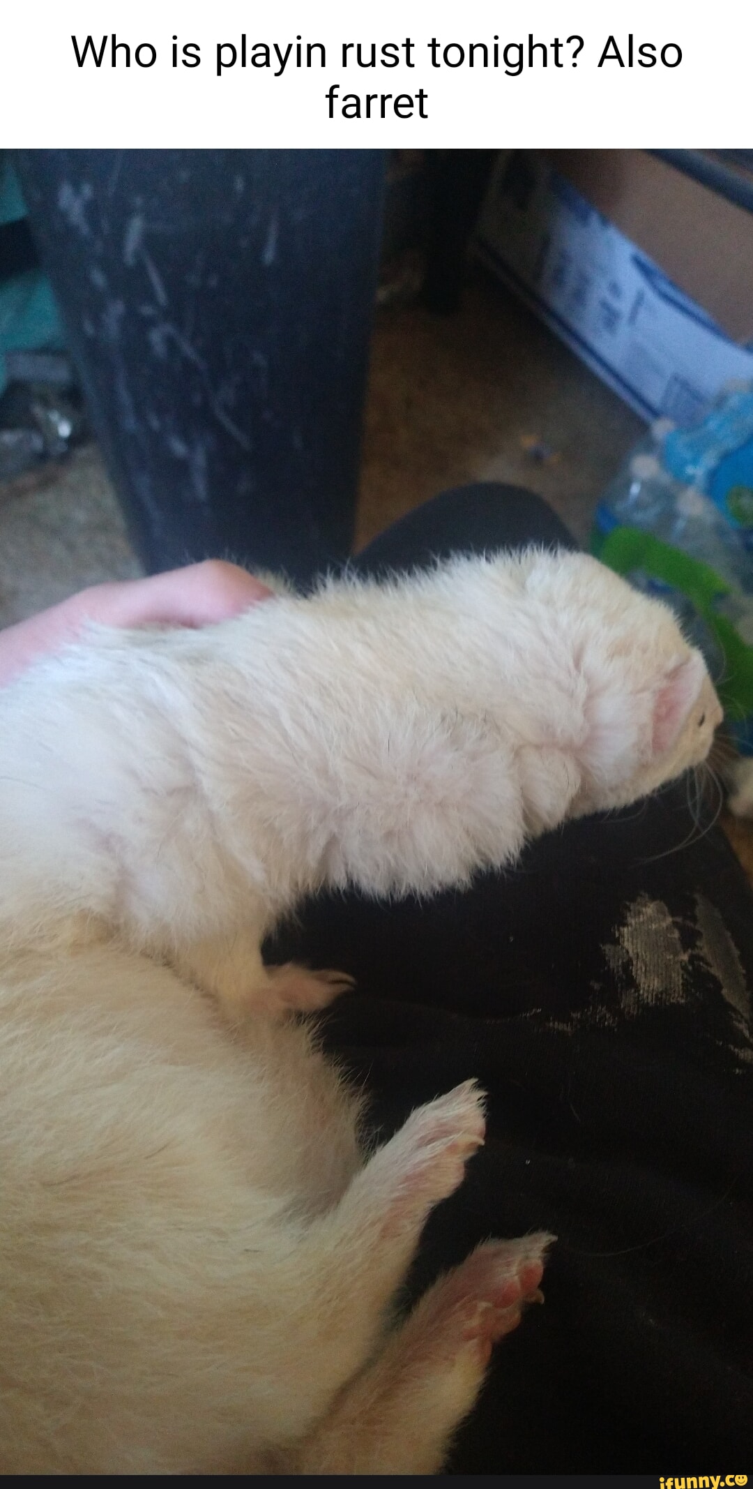 Rust memes. Best Collection of funny Rust pictures on iFunny