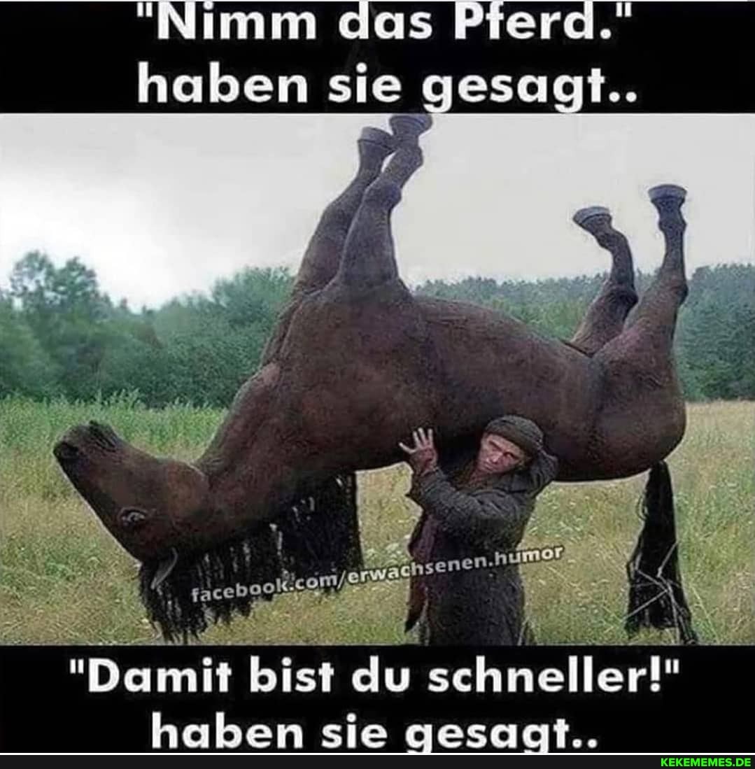"Nimm das Pferd." haben sie gesagt.. "Damit bist du hraahan eia ...