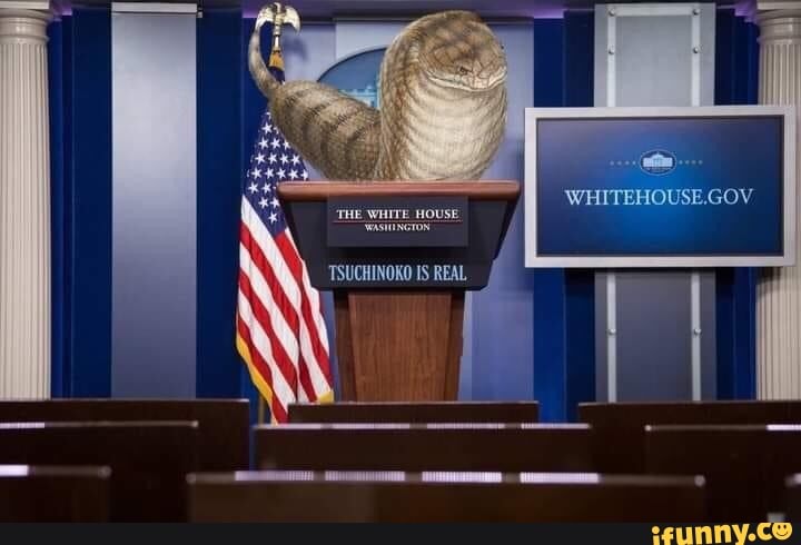THE WHITE TSUCHINOKO HOUSE IS REAL THE WHITE HOUSE TSUCHINOKO IS REAL ...