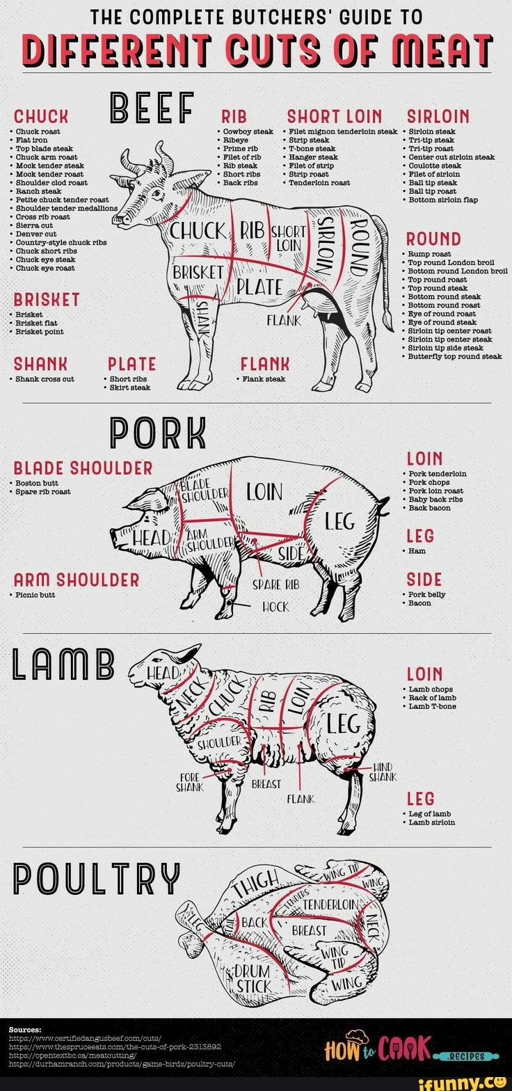 THE COMPLETE BUTCHERS' GUIDE TO DIFFERENT CUTS OF MEAT CHUCK RIB SHORT ...