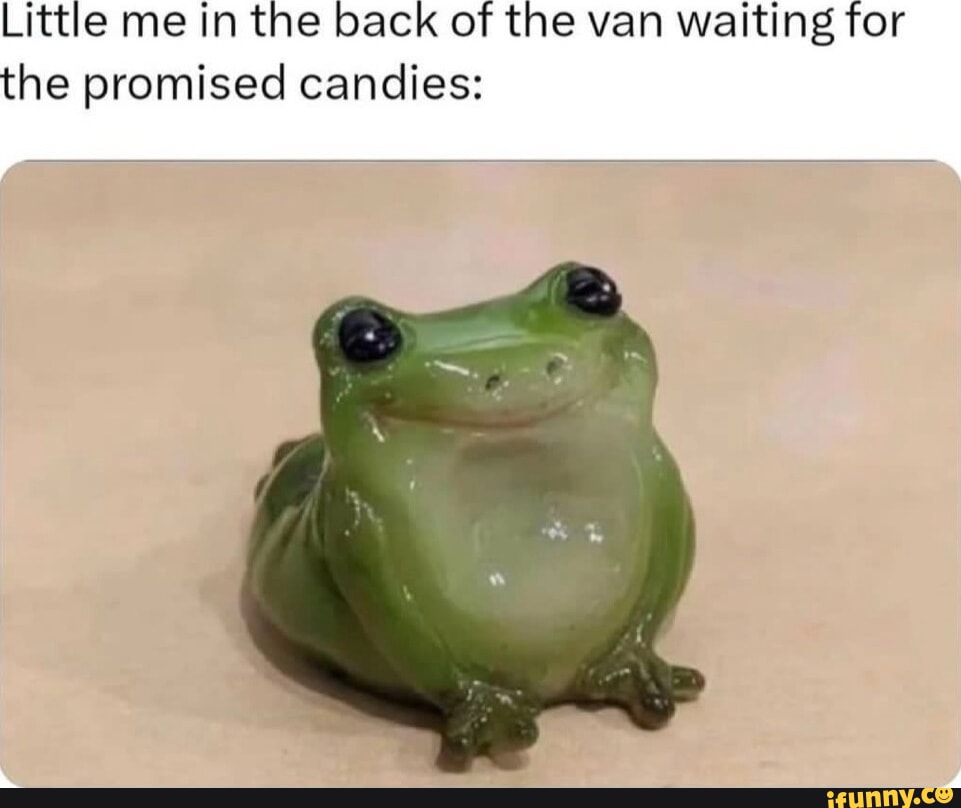 Van memes. Best Collection of funny Van pictures on iFunny