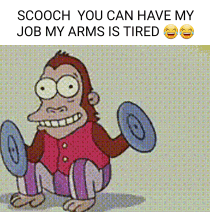 Scooch memes. Best Collection of funny Scooch pictures on iFunny