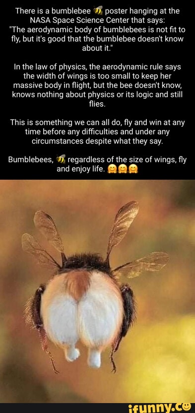 Bumblebee memes. Best Collection of funny Bumblebee pictures on iFunny