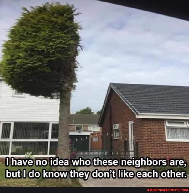 Have no idea who these neighbors are, but ldo know they don't like each ...