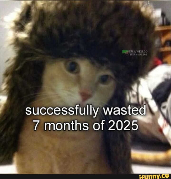 Wasted memes. Best Collection of funny Wasted pictures on iFunny