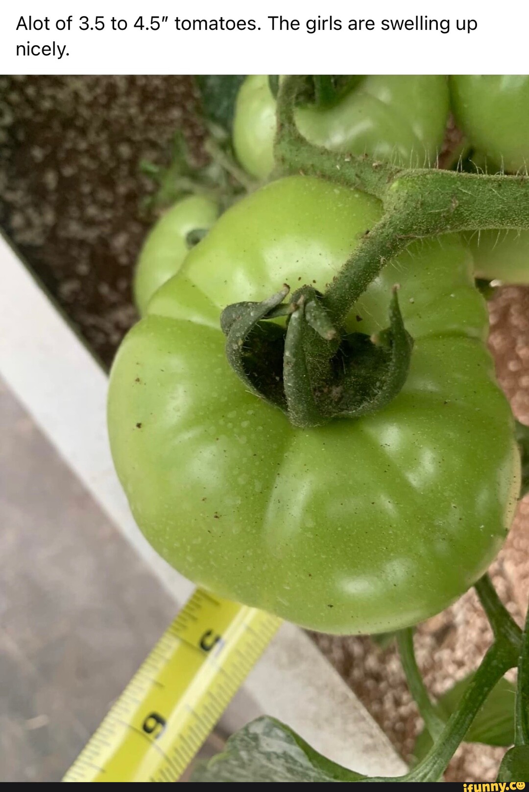 Swelling memes. Best Collection of funny Swelling pictures on iFunny