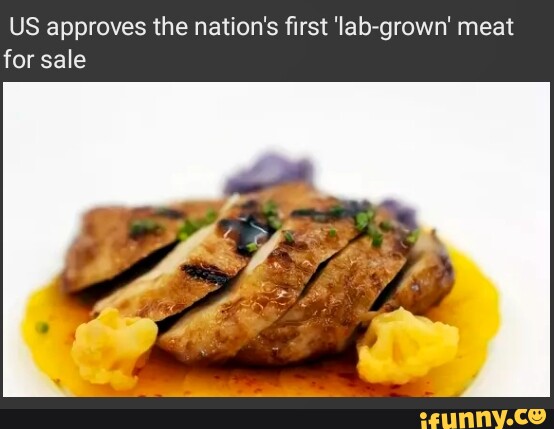 US approves the nation's first lab-grown meat for sale - iFunny