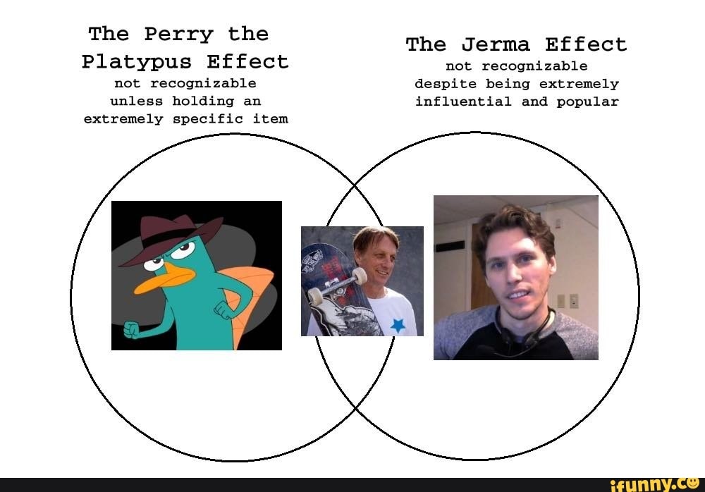 The Perry the The Jerma Effect Platypus Effect not recognizable not ...