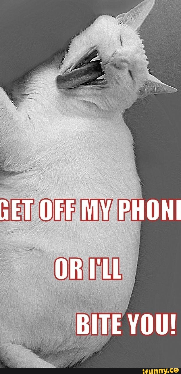 Phoni memes. Best Collection of funny Phoni pictures on iFunny