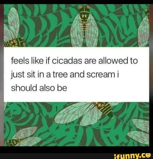 Cicadas memes. Best Collection of funny Cicadas pictures on iFunny