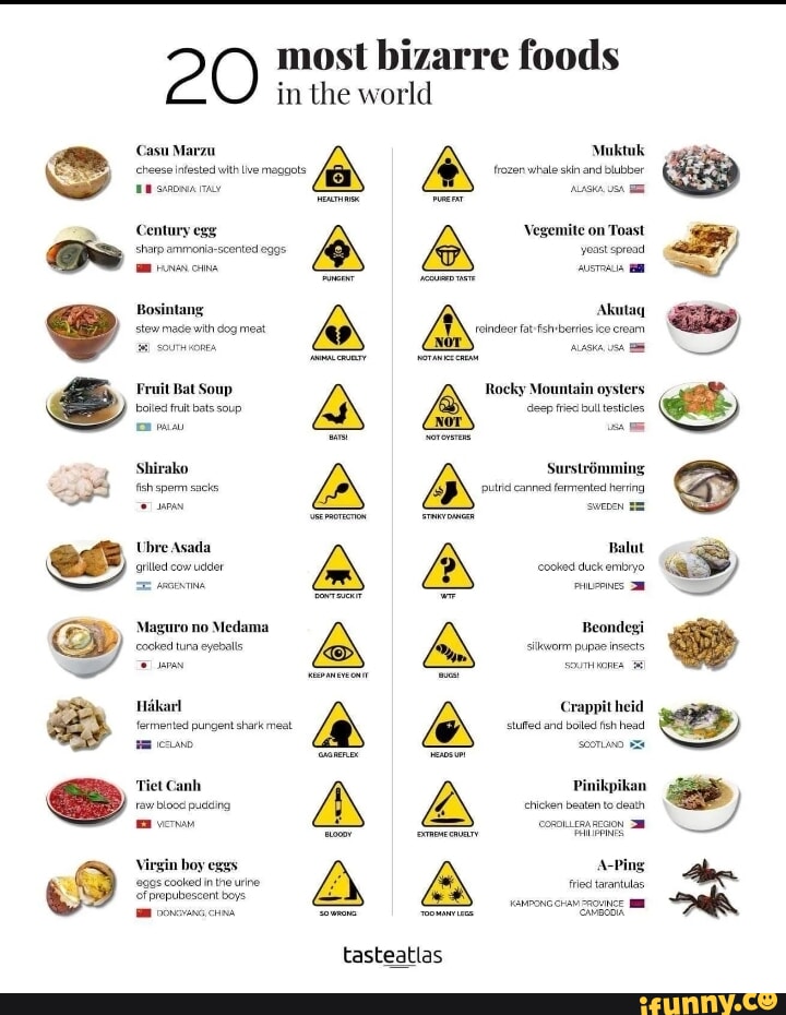 Ammonia memes. Best Collection of funny Ammonia pictures on iFunny