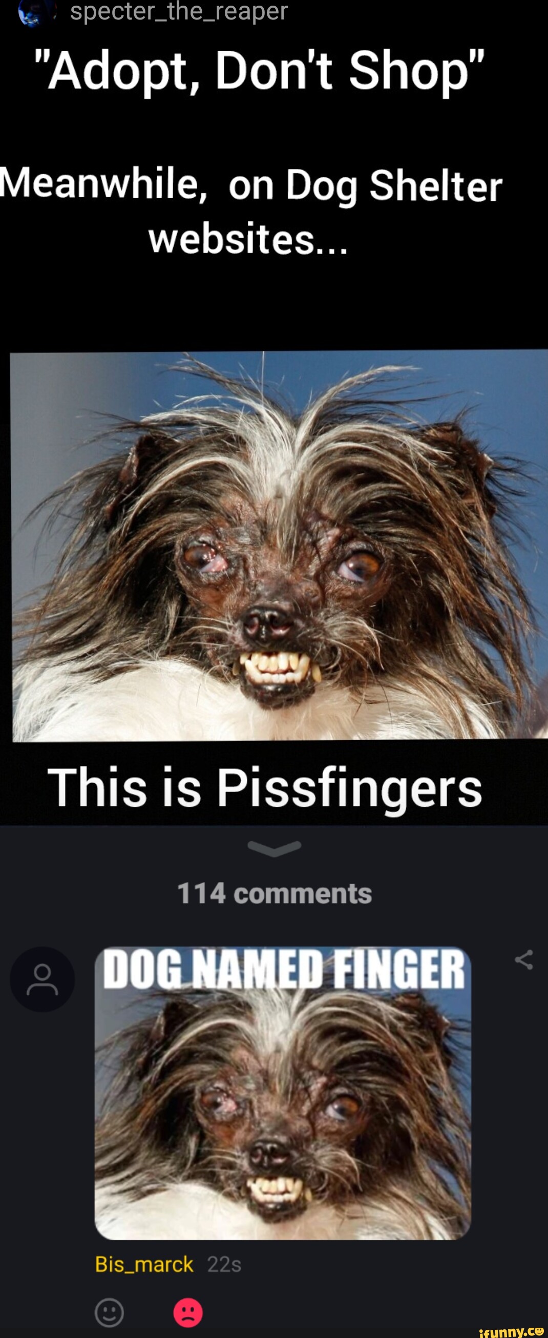 "Adopt, Don't Shop" Meanwhile, on Dog Shelter websites... This ts ...