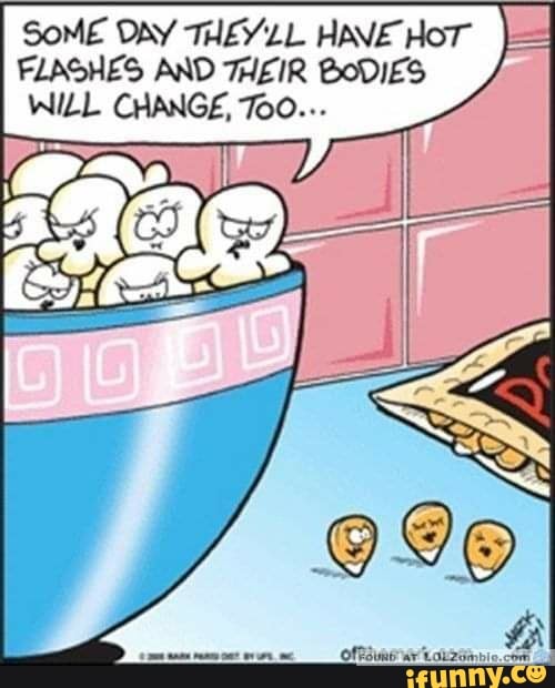SOME DAY THEYZZL HAVE HoT FLASHES AND THEIR BODIES WILL CHANGE, TOO ...