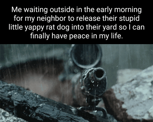 Yappy memes. Best Collection of funny Yappy pictures on iFunny