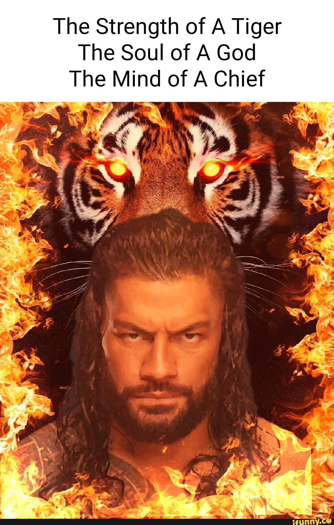 Roman Reigns Memes