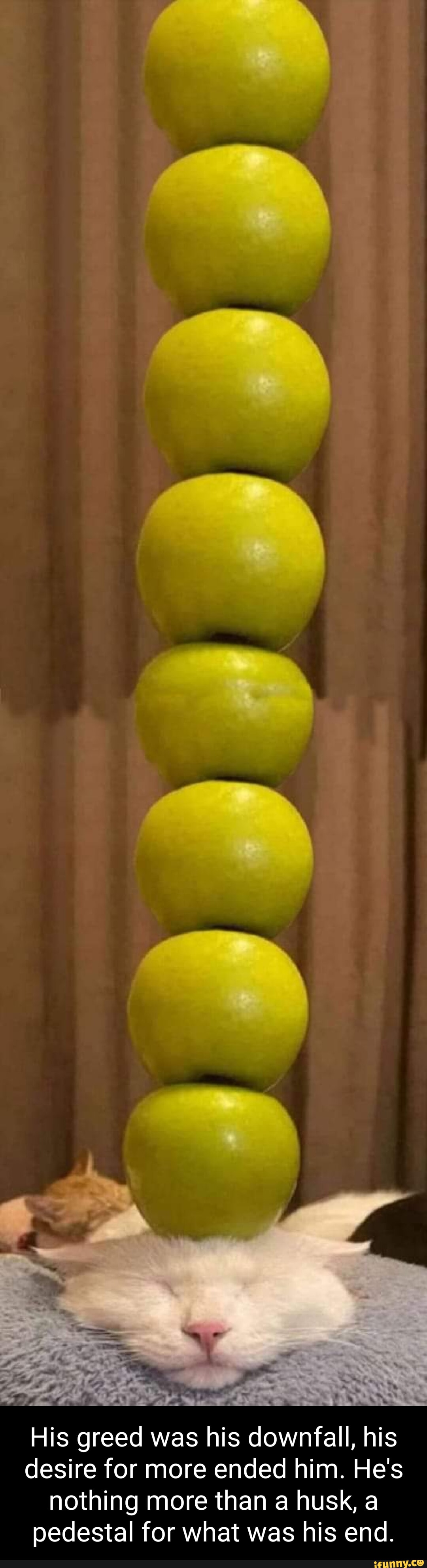 Pedestal Memes