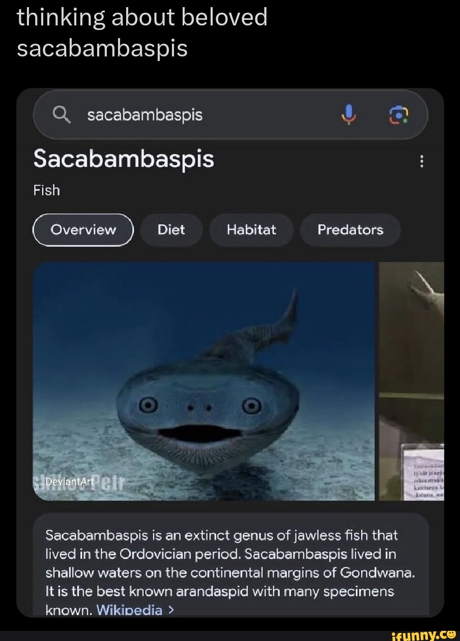 Sacabambaspis memes. Best Collection of funny Sacabambaspis pictures on ...