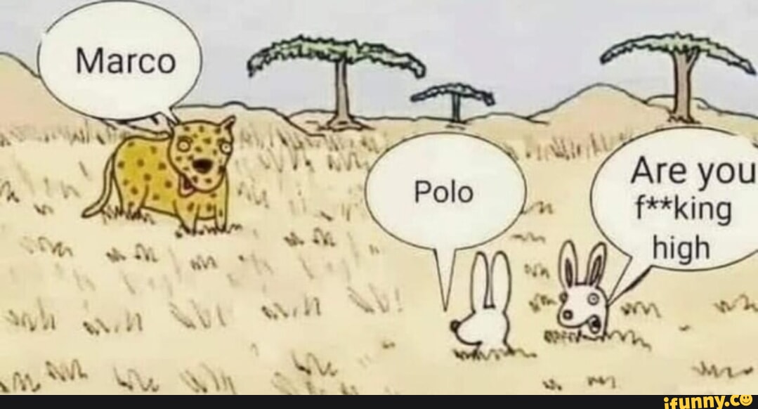 Polo memes. Best Collection of funny Polo pictures on iFunny