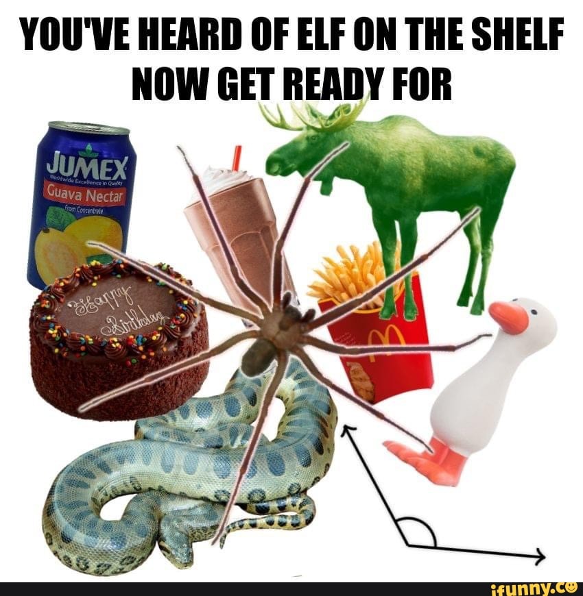 YOU'VE HEARD OF ELF ON THE SHELF NOW GET READY FOR - iFunny