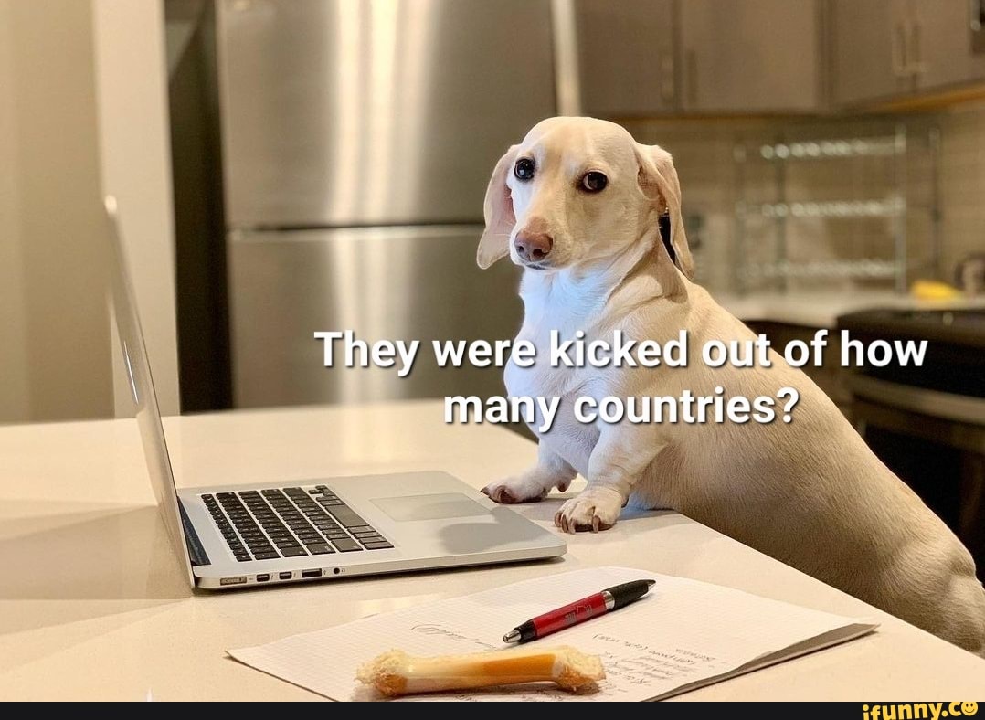 Whitney_chewston memes. Best Collection of funny Whitney_chewston ...