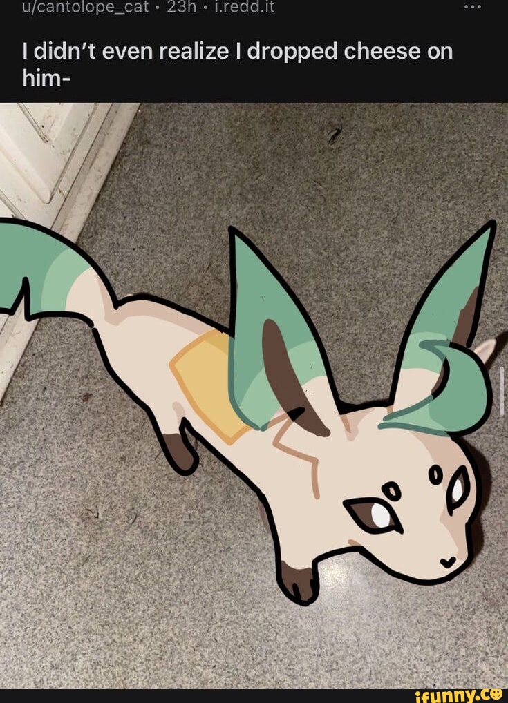 IIMISSWOU EVENISQUIDWARD MISSES Squidward doesn't miss SpongeBob at all - iFunny