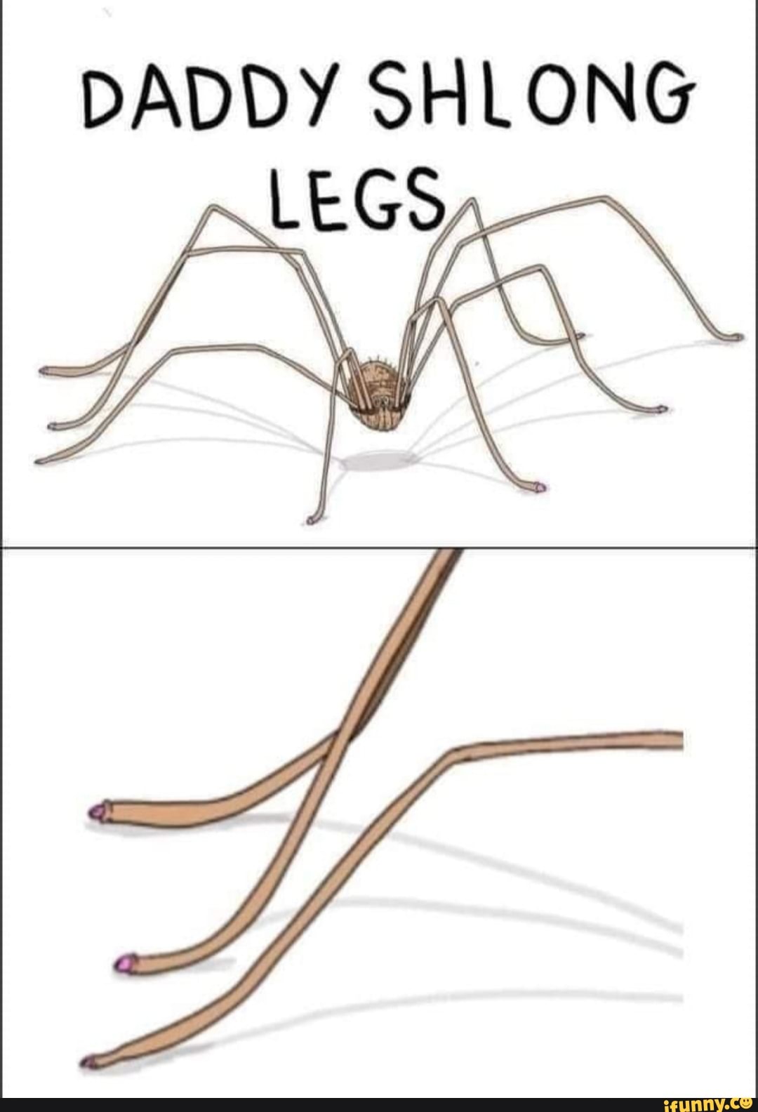 Shlong memes. Best Collection of funny Shlong pictures on iFunny