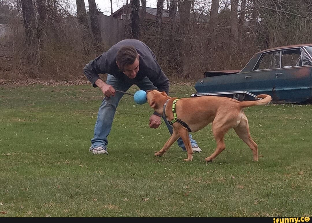 Tig_welding memes. Best Collection of funny Tig_welding pictures on iFunny