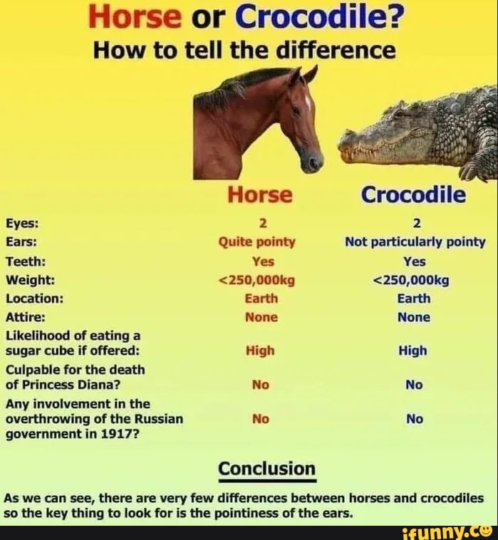 Horse or Crocodile? How to tell the difference Horse Crocodile Eyes: 2 ...