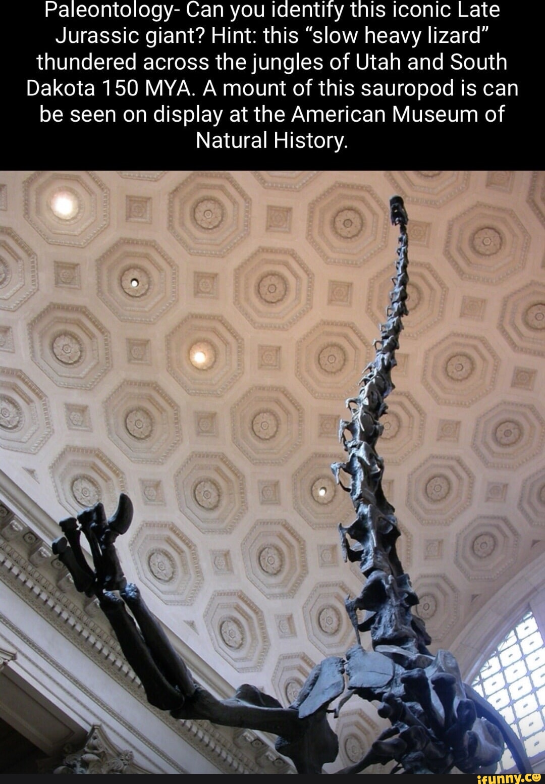 Paleontology- Can you identify this iconic Late Jurassic giant? Hint ...