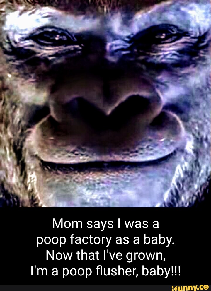 Flusher memes. Best Collection of funny Flusher pictures on iFunny