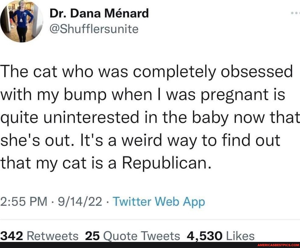 Dr. Dana Menard @Shufflersunite The cat who was completely obsessed ...