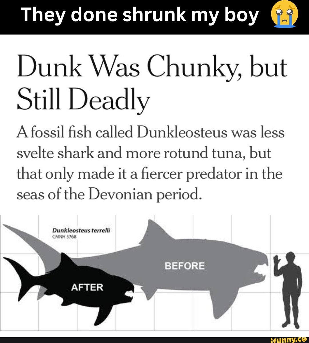 They done shrunk my boy Dunk Was Chunky, but Still Deadly A fossil fish ...