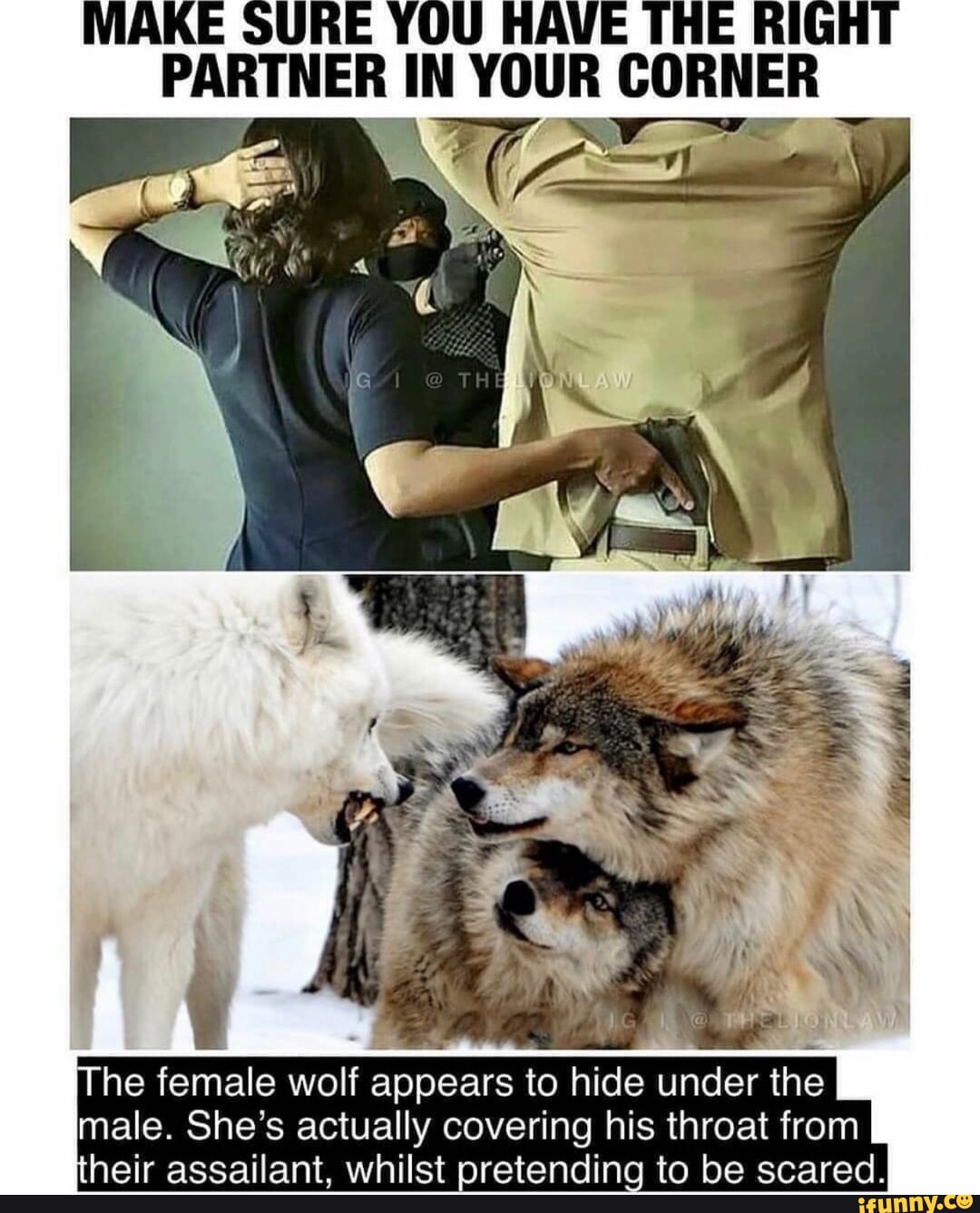 Yall like fat chicks 1122 x @ THICK Synonyms... DICTIONARY,COM Sal io ...